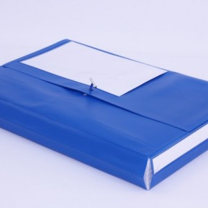 Deed Wallets with Treasury Tags - Minerva Loose Leaf